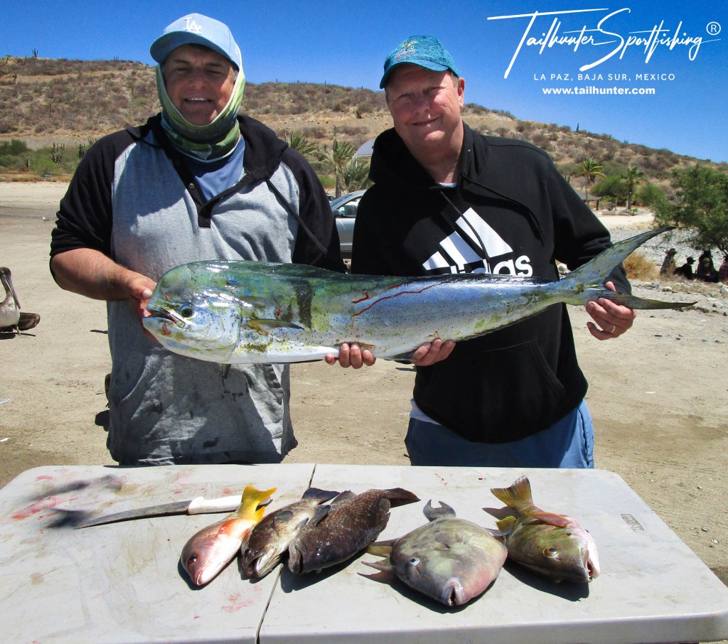 Tailhunter Fish Report | La Paz, Baja California Sur, Mexico