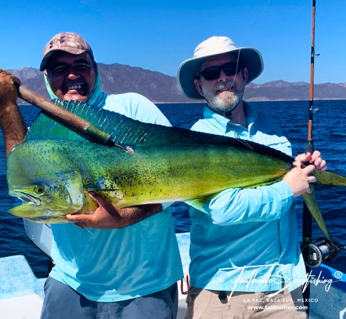 Tailhunter Fish Report | La Paz, Baja California Sur, Mexico