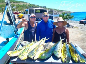 Tailhunter Fish Report | La Paz, Baja California Sur, Mexico