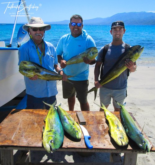 Tailhunter Fish Report | La Paz, Baja California Sur, Mexico