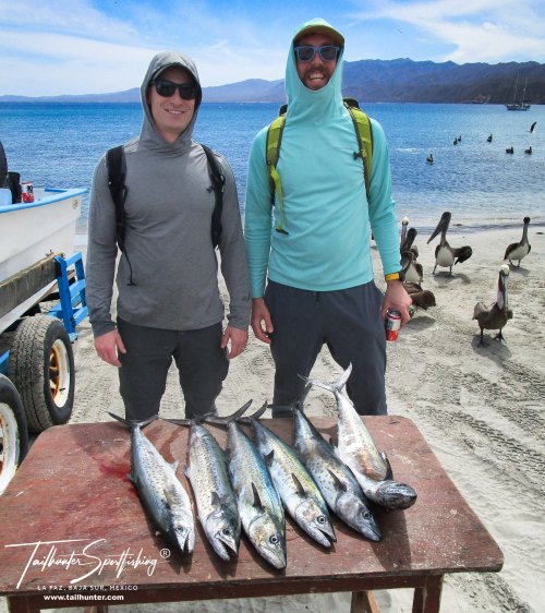 Tailhunter Fish Report | La Paz, Baja California Sur, Mexico