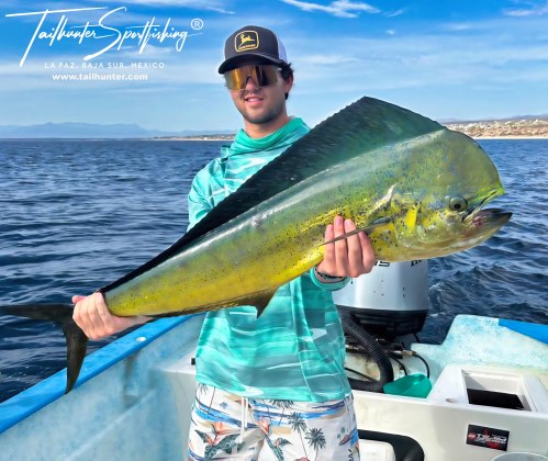 Tailhunter Fish Report | La Paz, Baja California Sur, Mexico