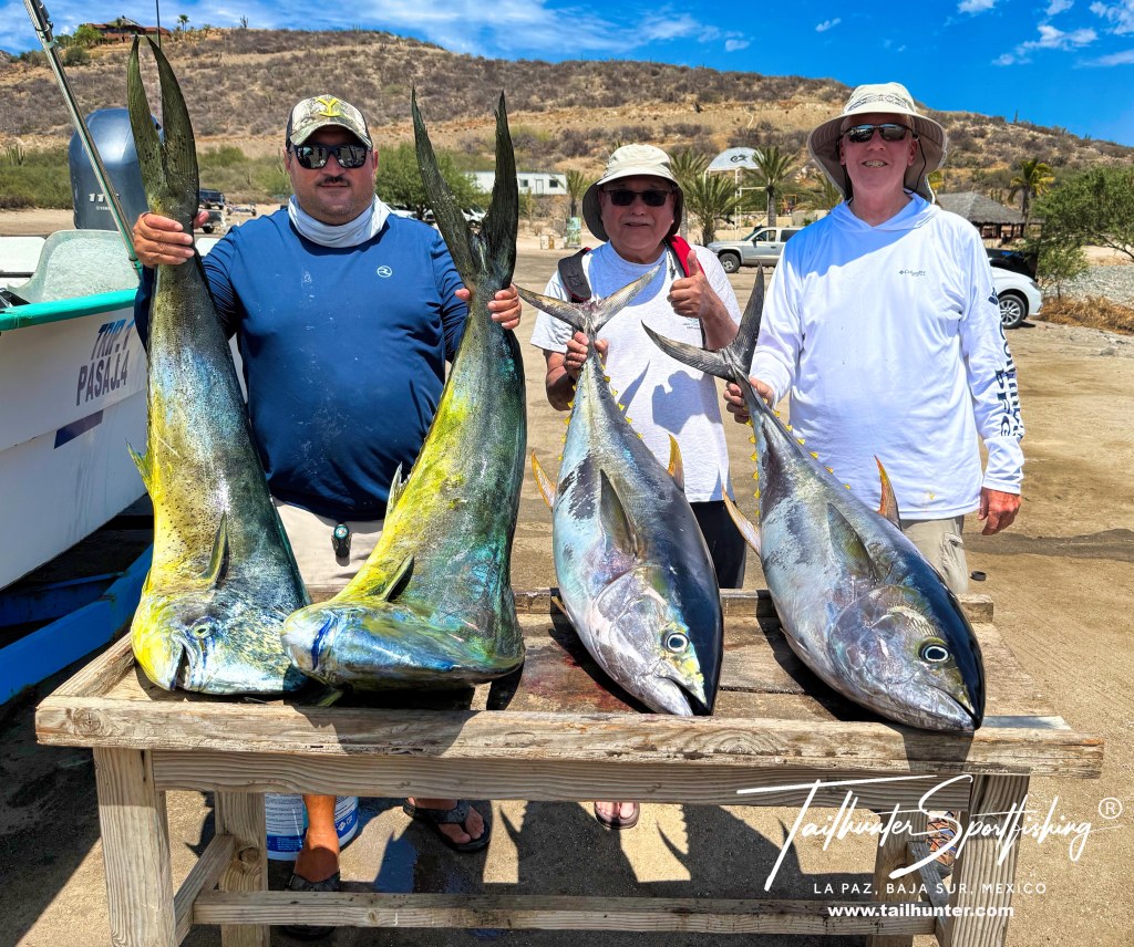 Tailhunter Fish Report | La Paz, Baja California Sur, Mexico